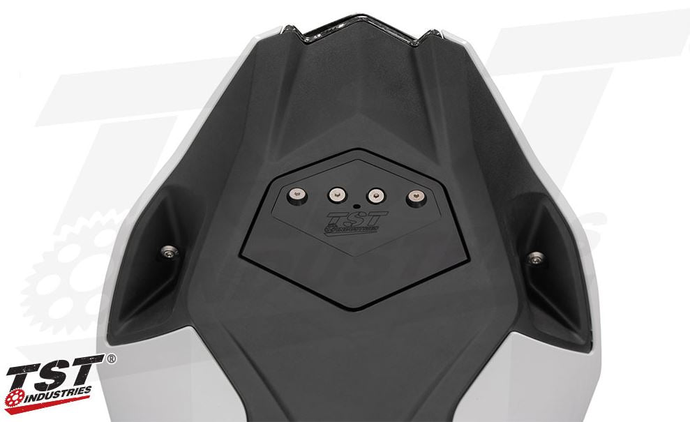 Buy TST Industries Low Mount Fender Eliminator '20-'22 BMW S1000RR ...